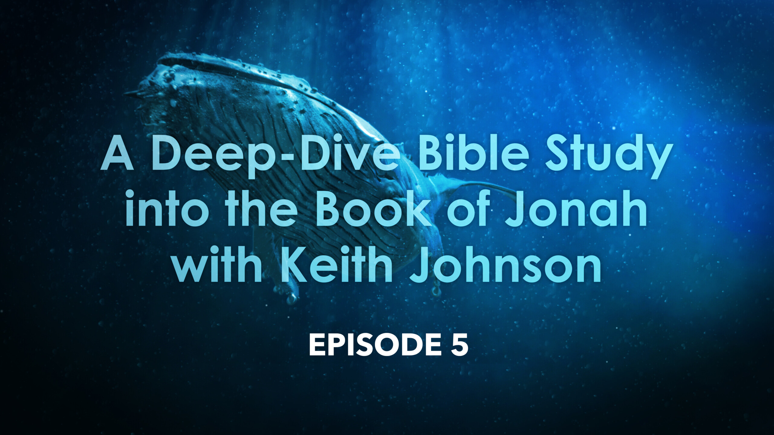 BFA InternationalA Deep-Dive Bible Study Into The Book of Jonah-Episode ...